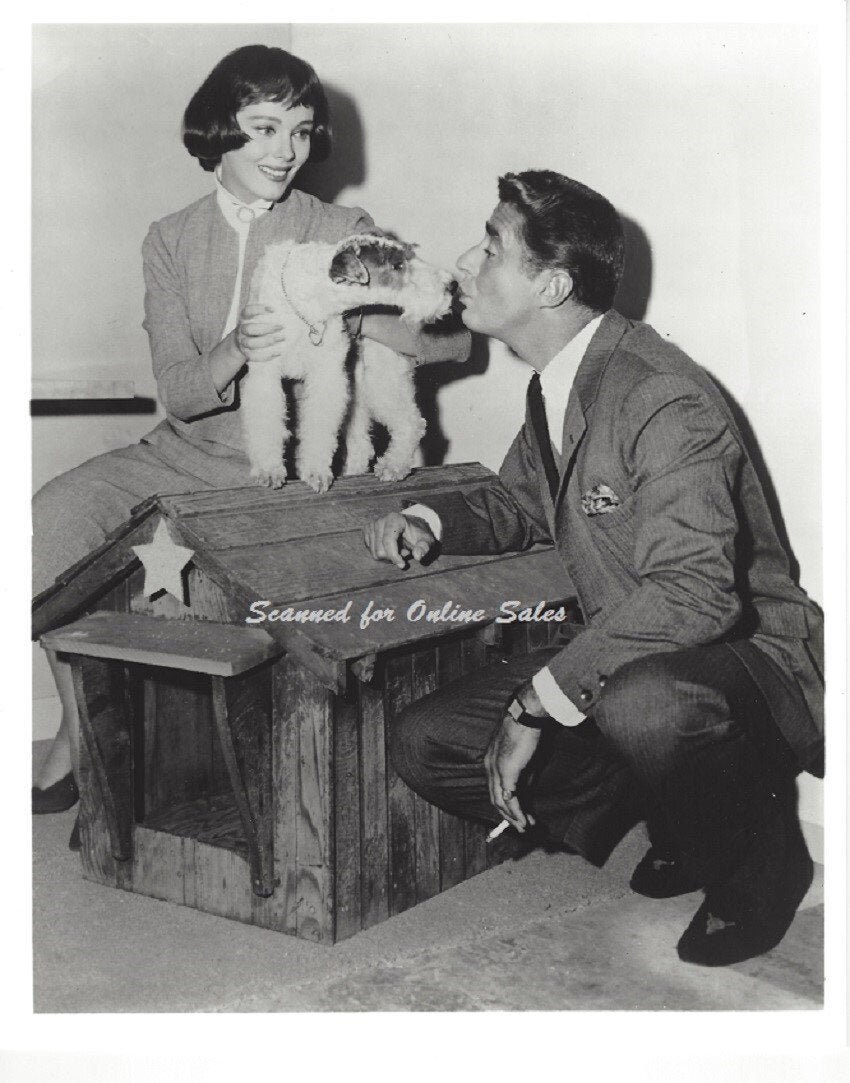 TV the Thin Man Peter Lawford Phyllis Kirk Asta & Son 8x10 - Etsy