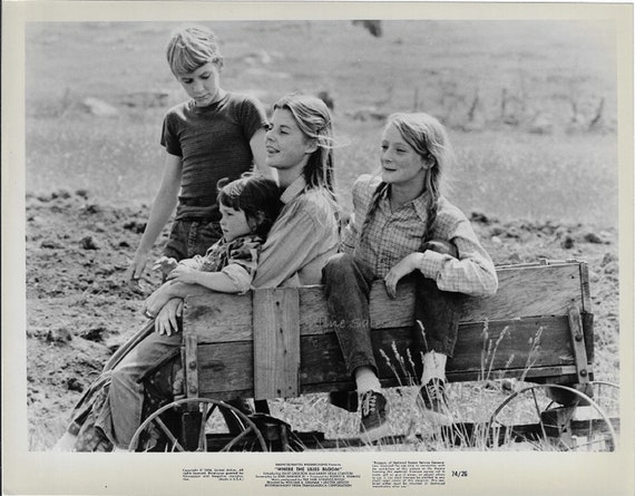 Where the Lilies Bloom Julie Gholson Harry Dean Stanton Jan - Etsy