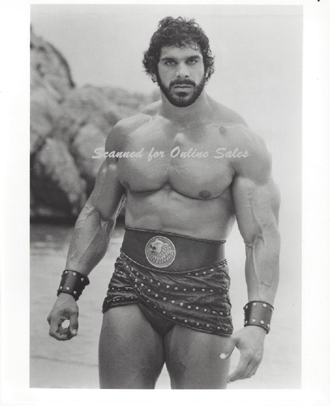 Lou Ferrigno Hercules