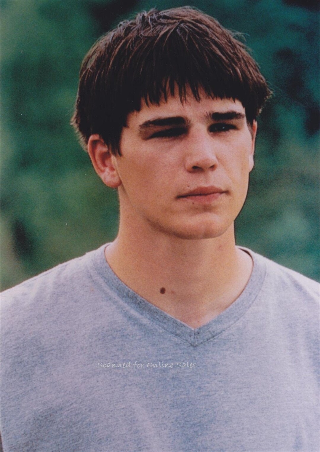 Josh Hartnett Bowl Hair Cut 4x6 Photo - Etsy