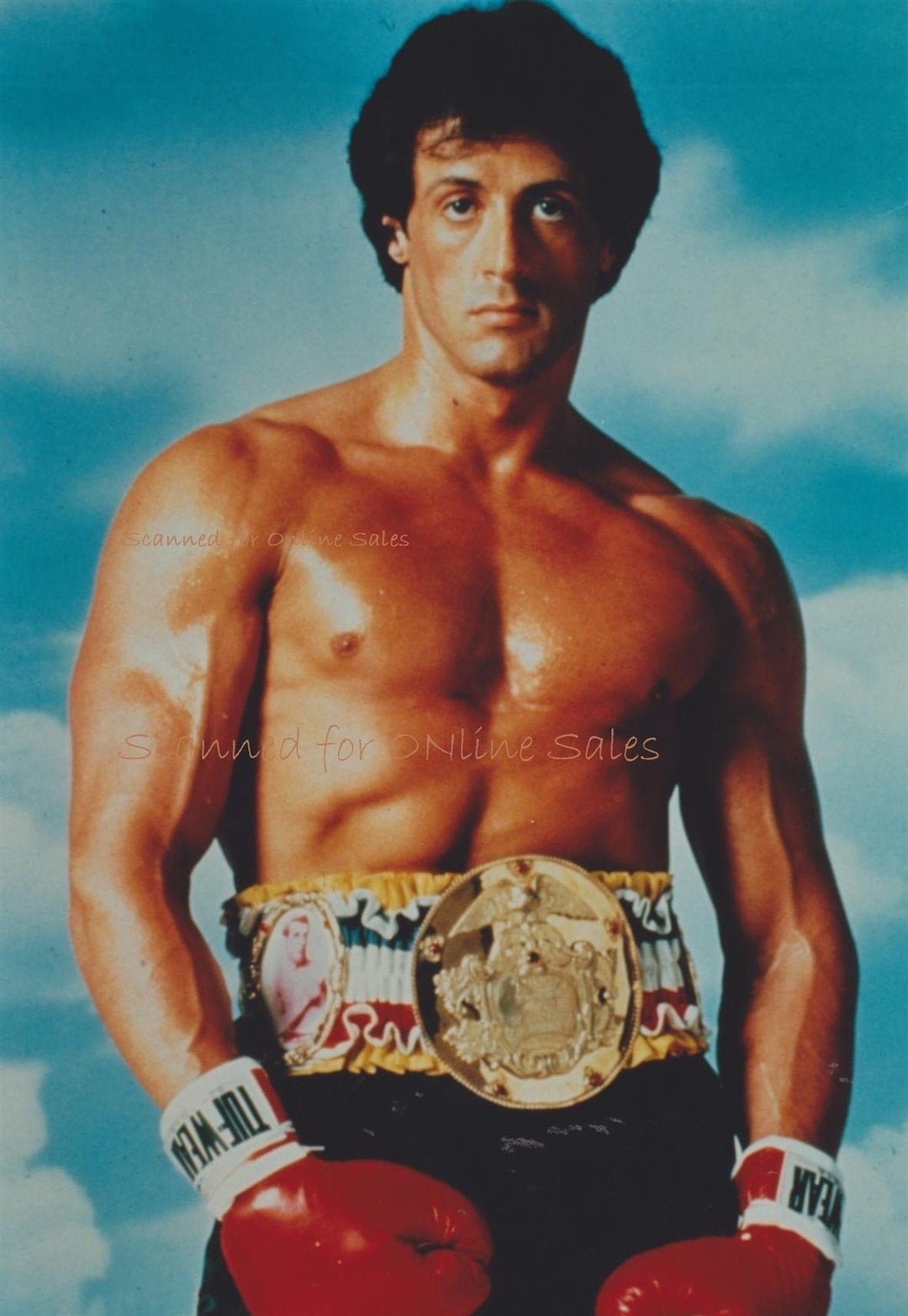 Rocky Balboa the Champ Sylvester Stallone 4x6 Photo - Etsy