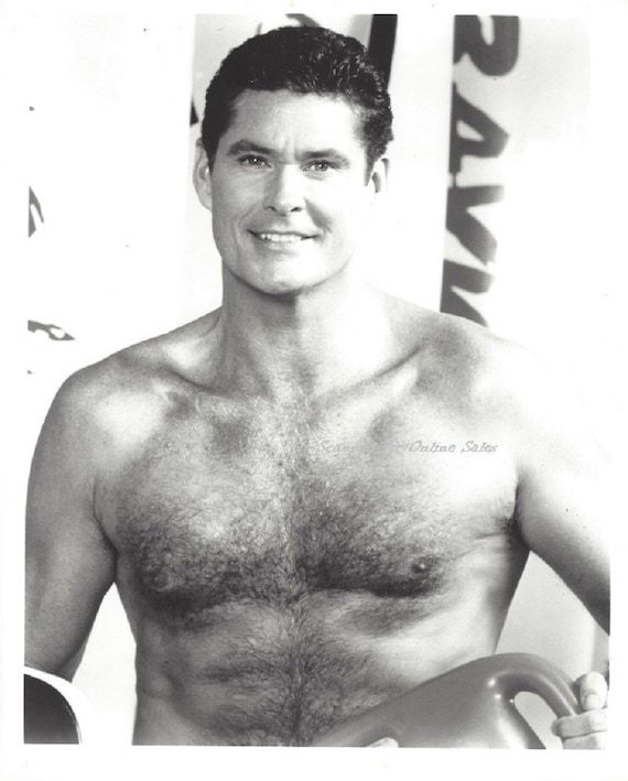 David Hasselhoff High School