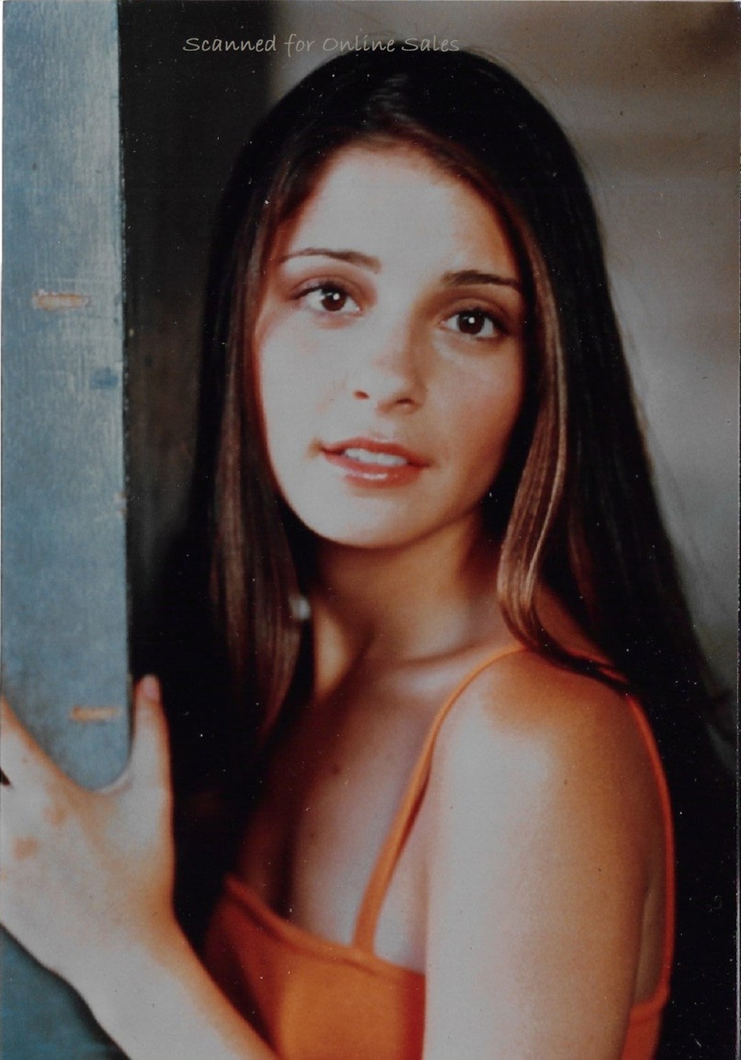 Roswell Shiri Appleby Long Hair 4x6 Photo - Etsy
