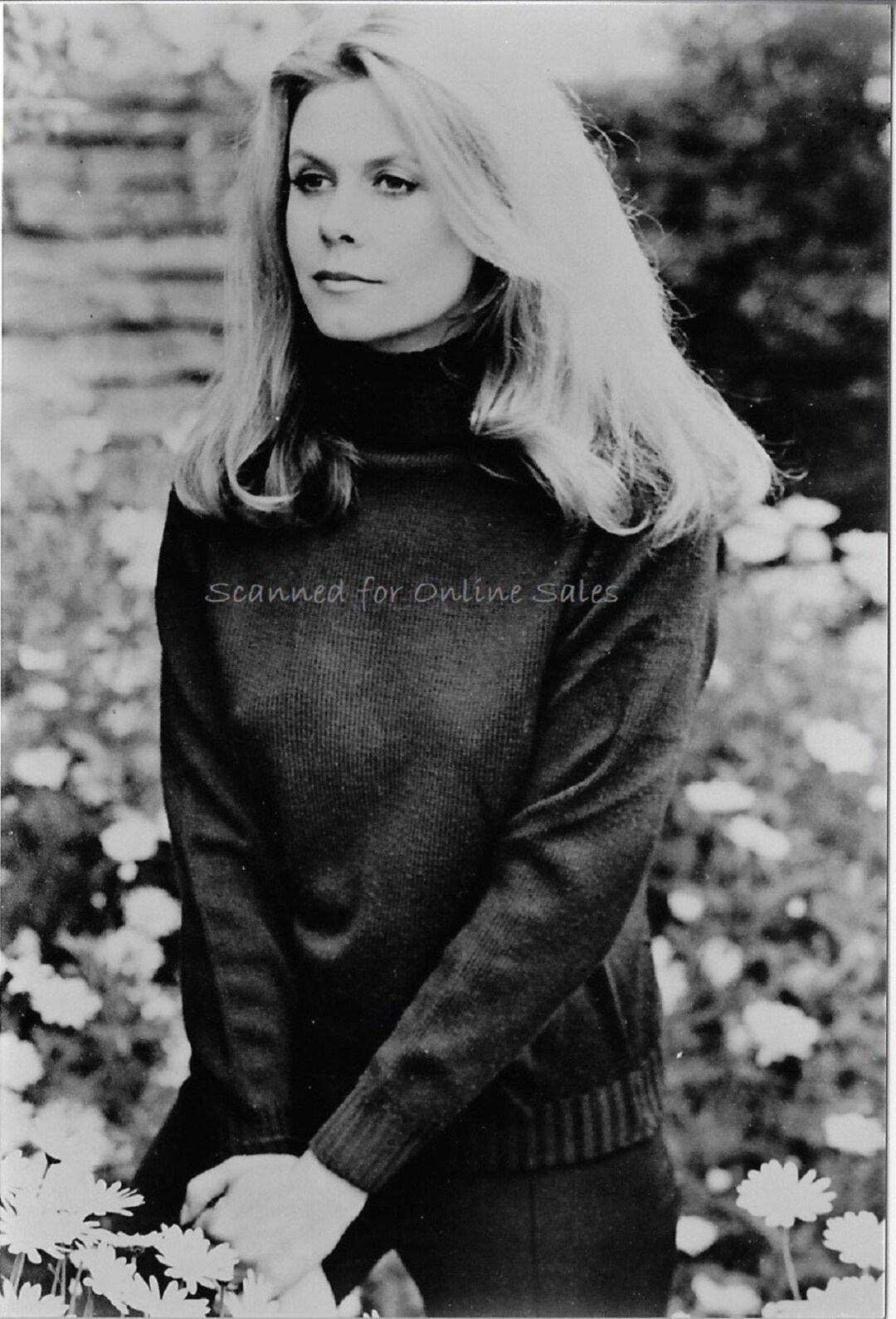 Serene Bewitched Samantha Elizabeth Montgomery 4x6 Photo - Etsy