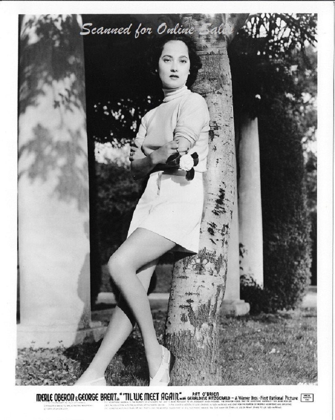 Merle Oberon Til We Meet Again 8x10 Photo - Etsy