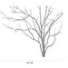 Realistic Winter Tree Wall Decal Headboard Wall Decal Home Decor Stick ...