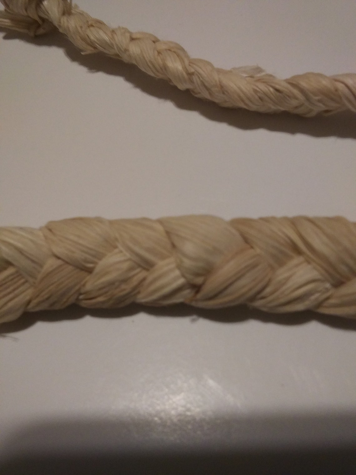 Corn Husk Braids - 10 Natural Chews - Bird Toy - Rodent/small Animal ...