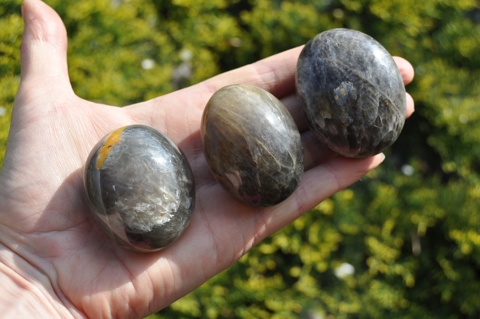 Black Moonstone Large Palm Stone Polished - Etsy