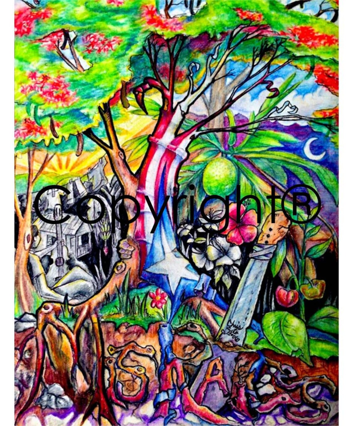 My Puerto Rican Roots (8x10in), the "flamboyán" Tree That Lives in ...