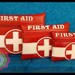 LINED SET First Aid Zip Bag - Etsy