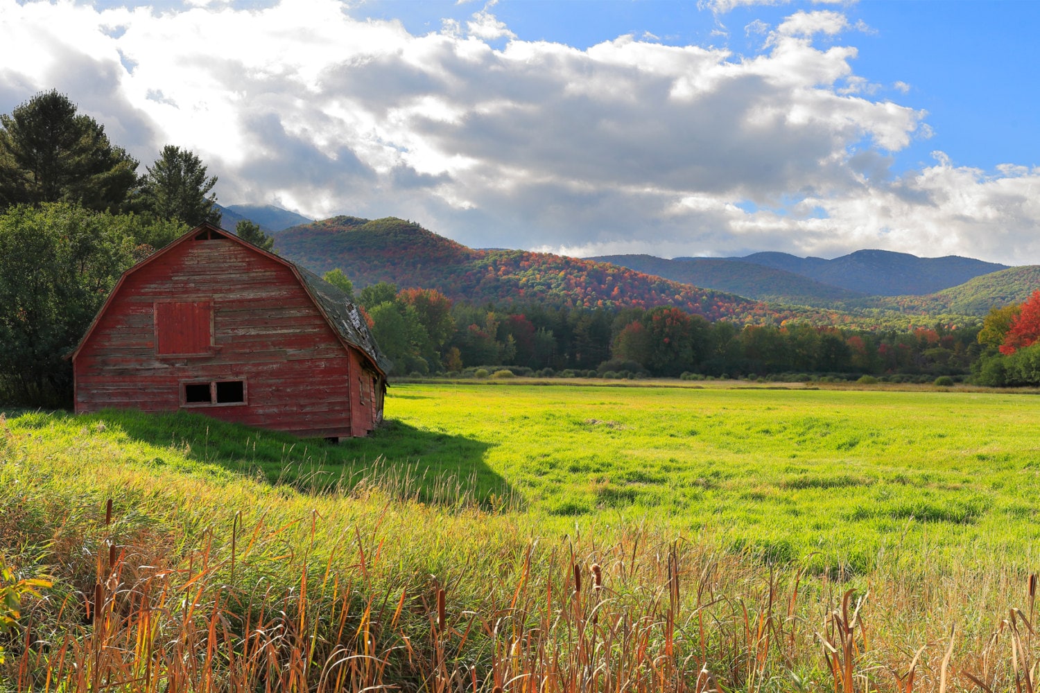 Rustic Red Barn With Fall Foliage Photograph Autumn Leaves and Fall ...