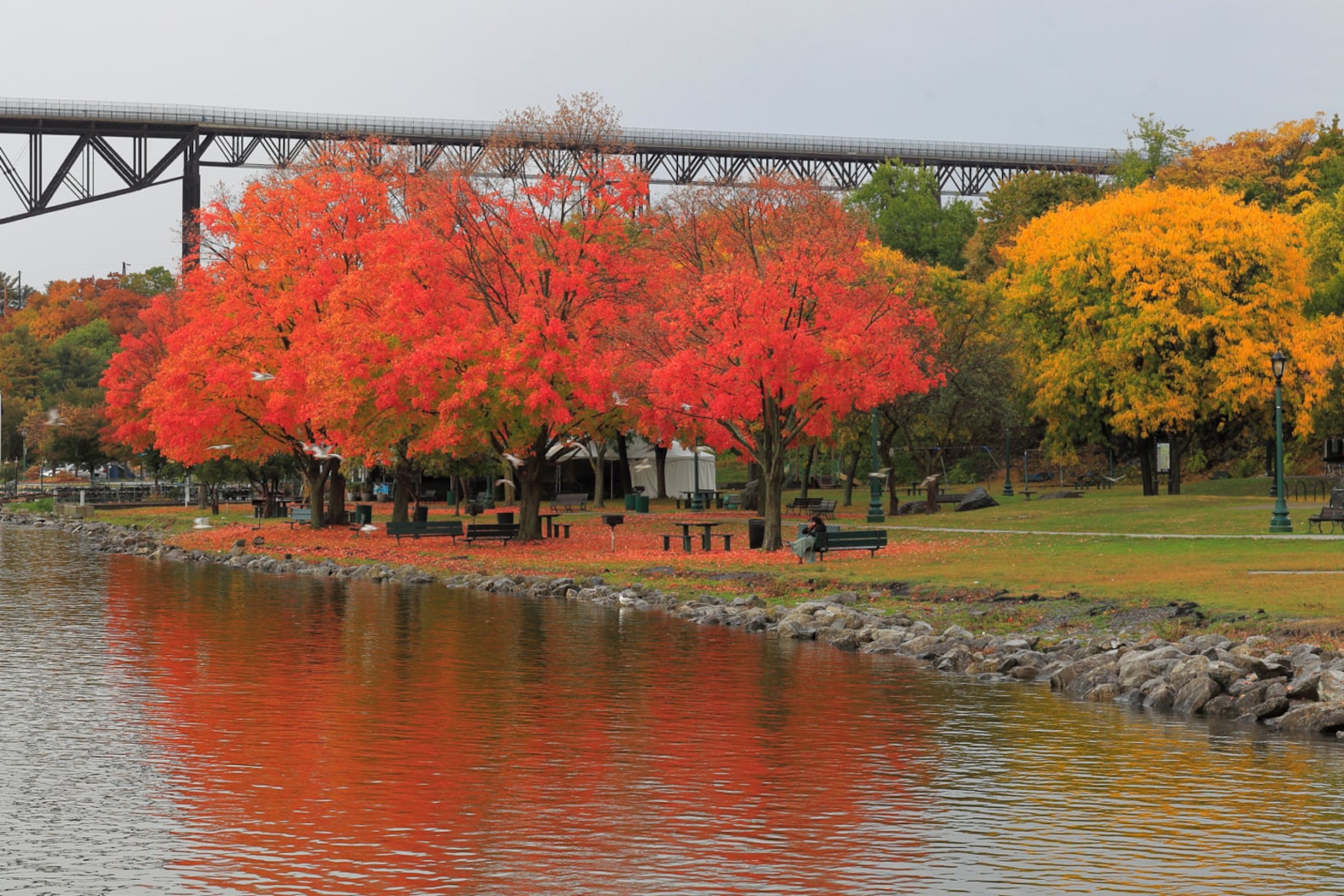 Fall Colors on the Hudson River Photograph With the Walkway - Etsy