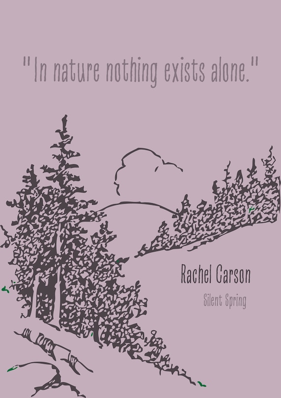 Rachel Carson Spring Quotes Silent Spring Quotes Selected Reads