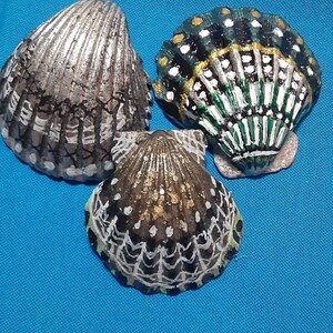 Hand Painted Seashells in Custom Color Theme Lots Hand Painted Shells ...