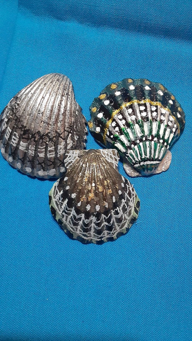 Hand Painted Seashells in Custom Color Theme Lots Hand Painted Shells ...