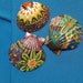 Hand Painted Seashells in Custom Color Theme Lots Hand Painted Shells ...