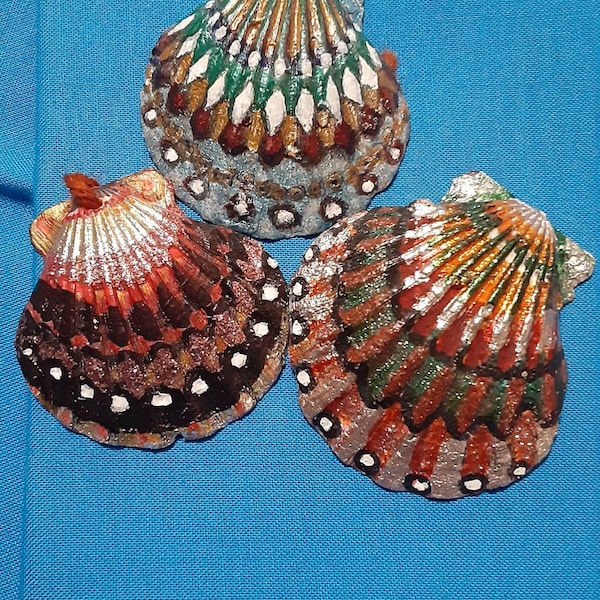 Painted Seashells - Etsy