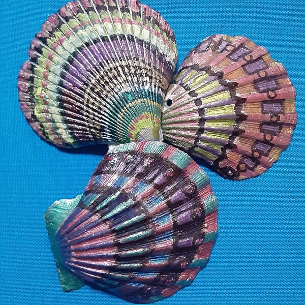 Painted Seashells - Etsy