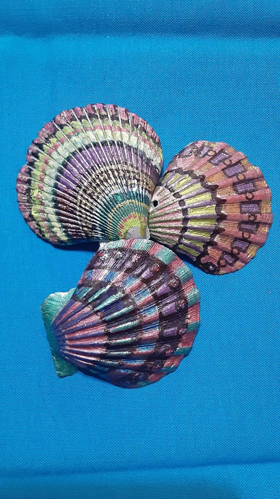 Hand Painted Seashells in Custom Color Theme Lots Hand Painted Shells ...