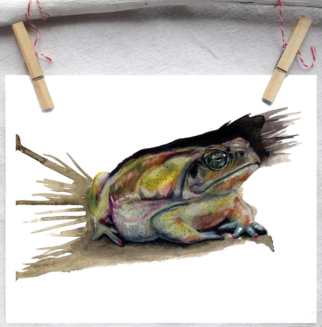 Toad Art Print Cane Toad Art Toad Art Print Halloween Wall Art Boys ...