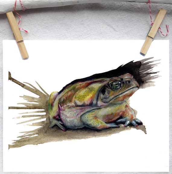 Toad Art Print Cane Toad Art Toad Art Print Halloween | Etsy