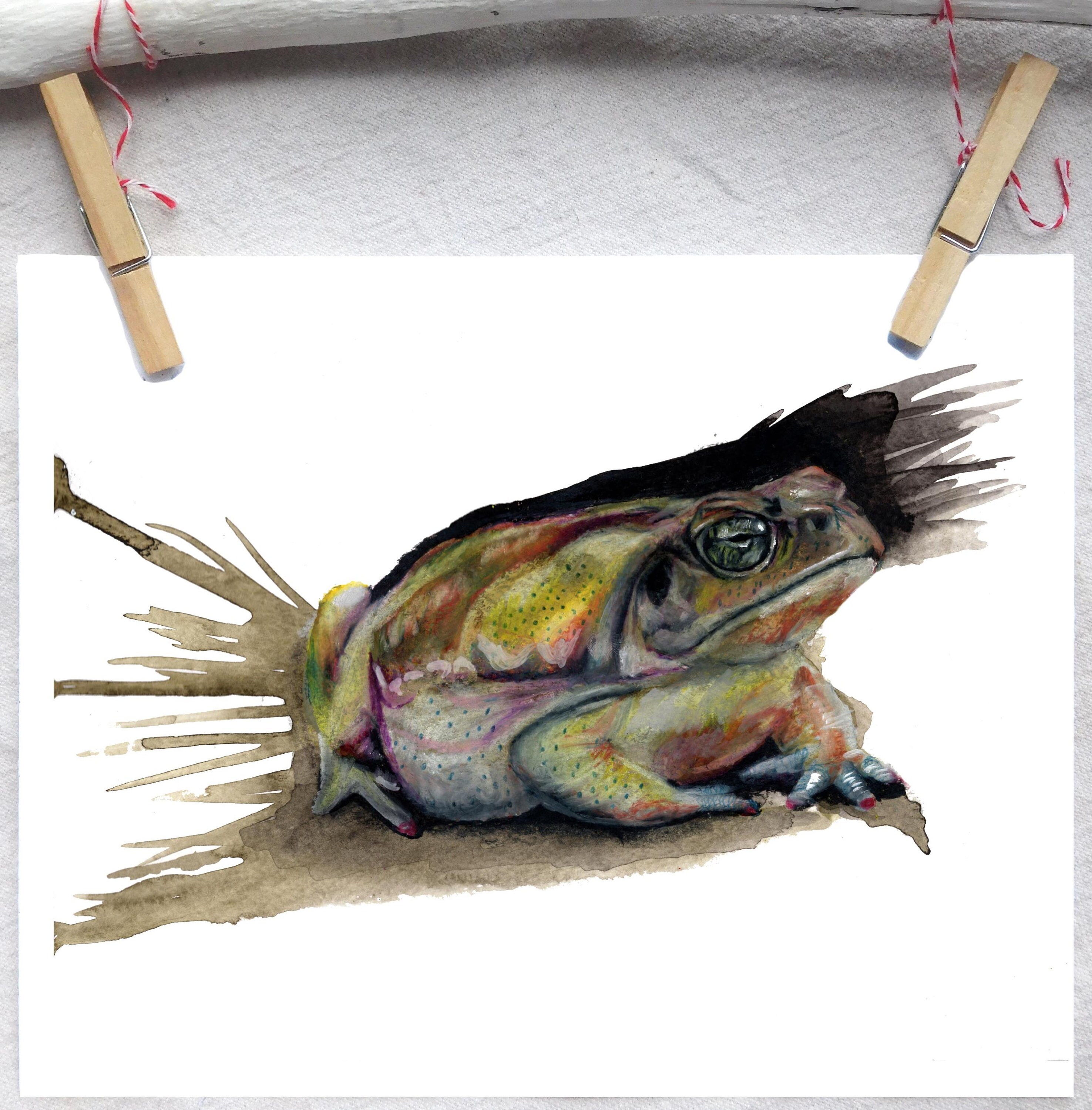 Toad Art Print Cane Toad Art Toad Art Print Halloween - Etsy