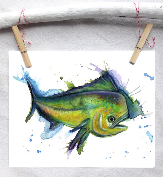 Dolphin Fish Drawing