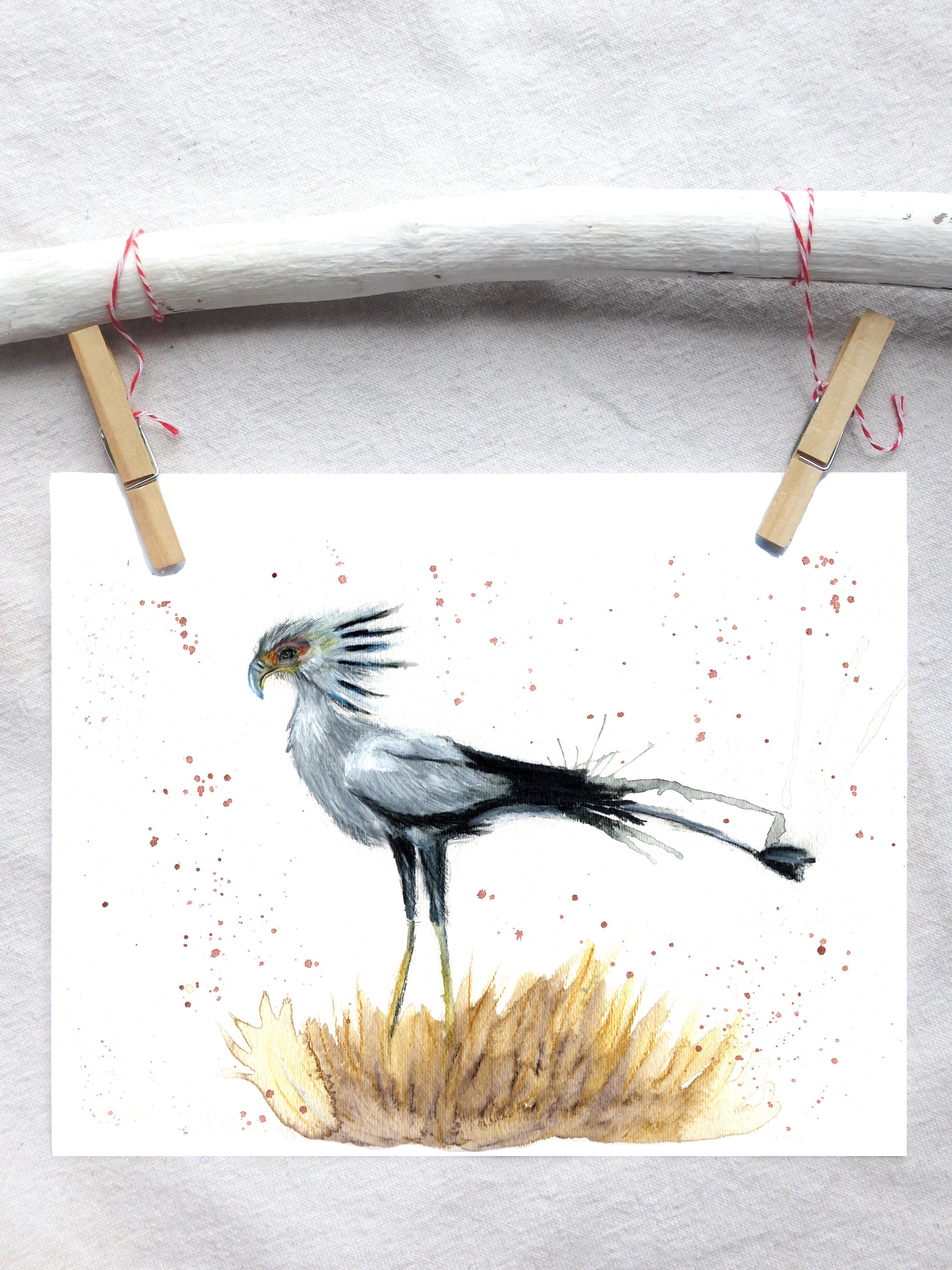 Secretary Bird Art Print Bird Decor Exotic Animals | Etsy