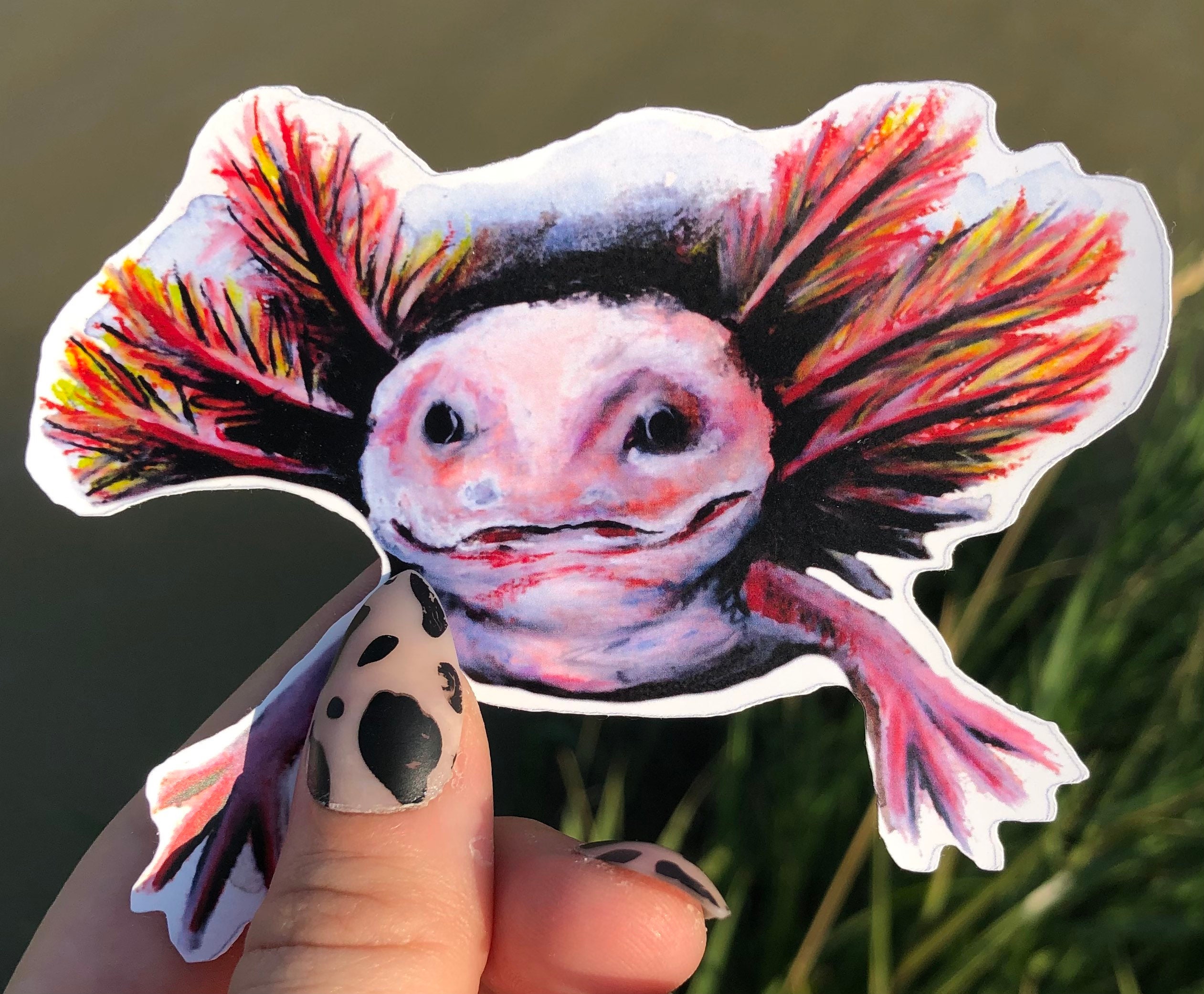 Axolotl Sticker Axolotl Art Axolotl Axolotl Gift | Etsy