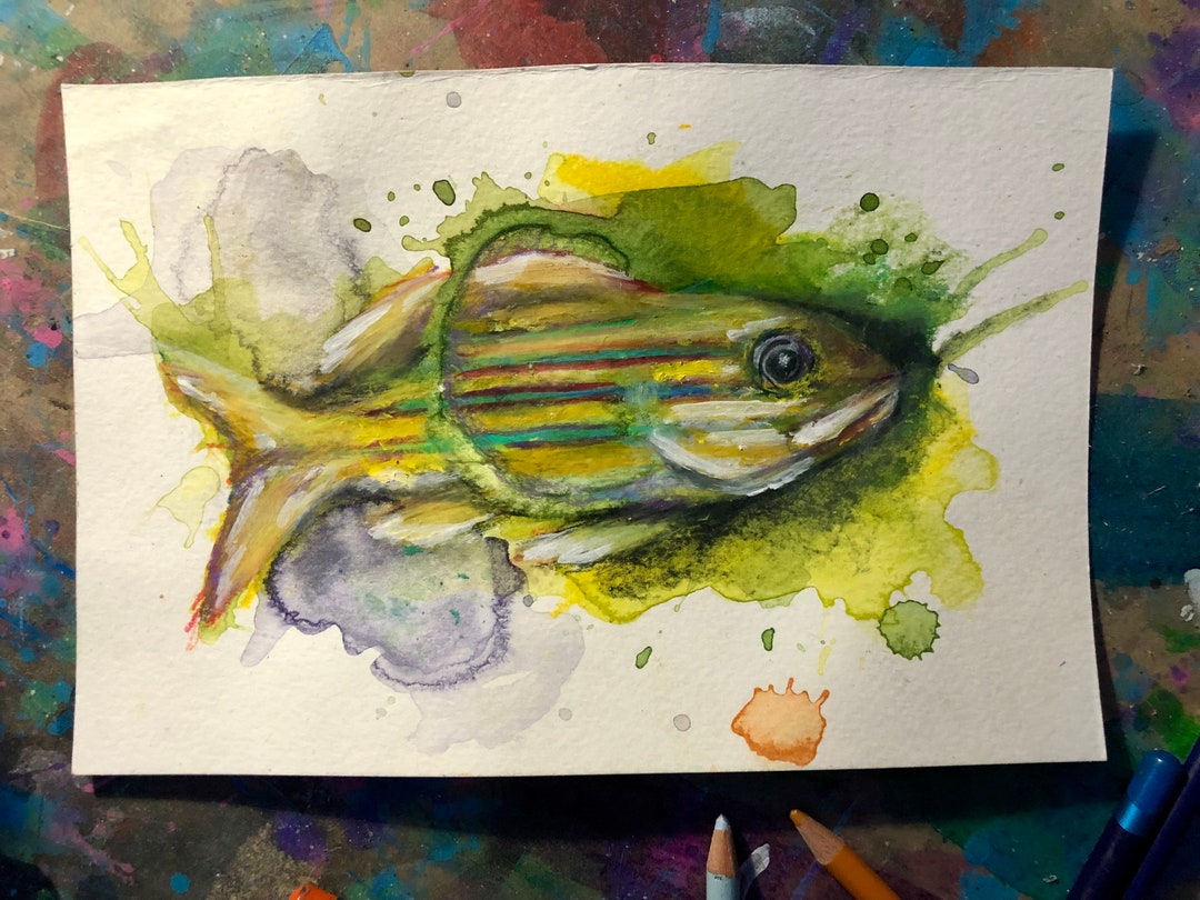 Blue Lined Snapper Art Print - Etsy