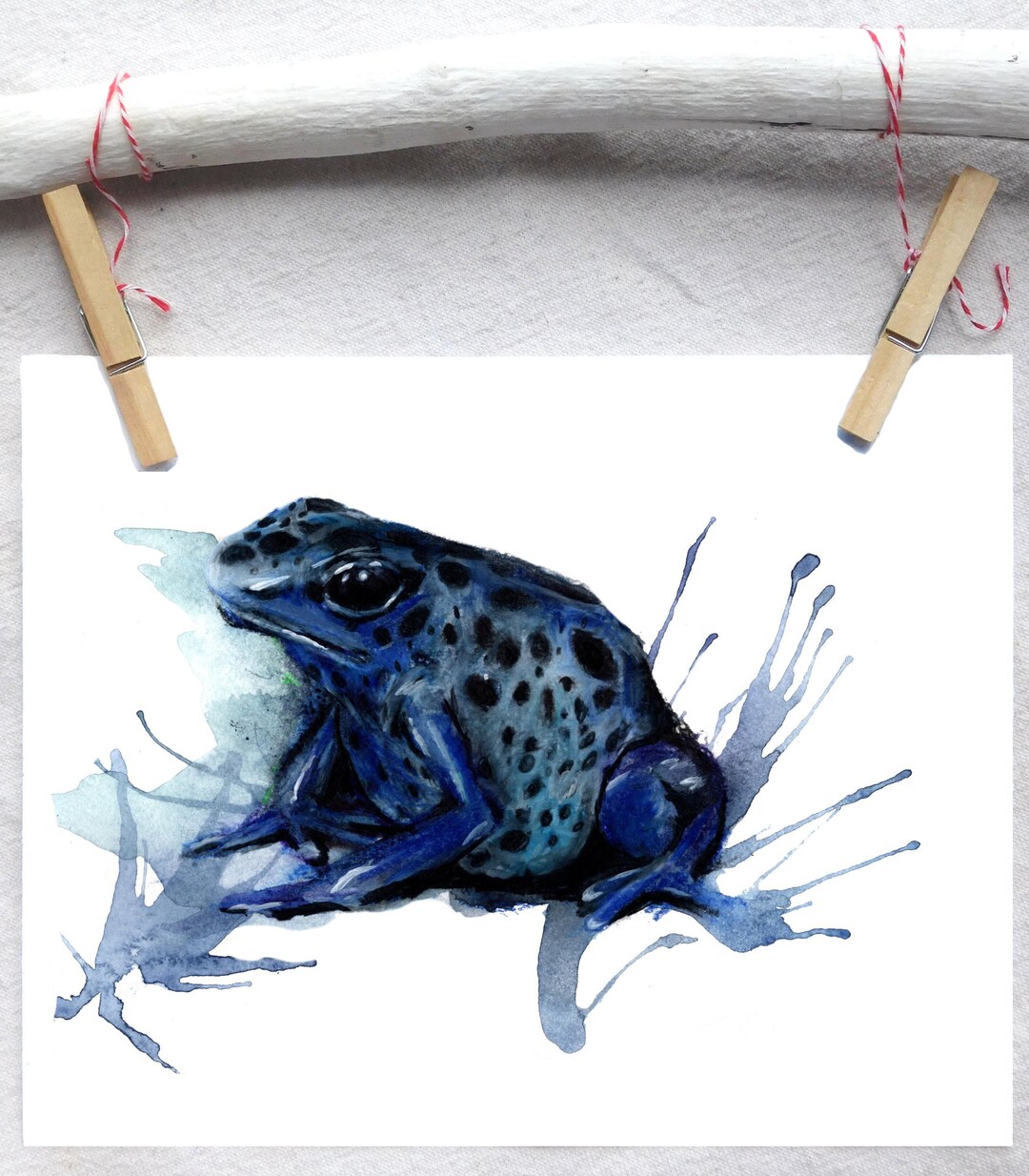 Frog Art Print | Poison Dart Frog Art Print | Amphibian | Animal ...
