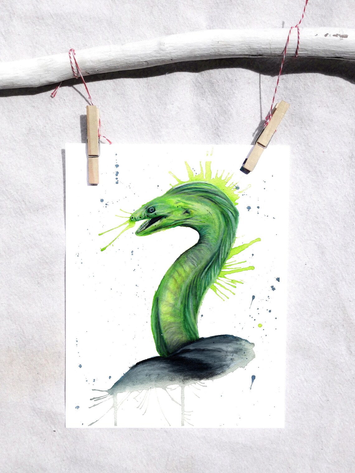 Ocean Animal Art Print Eel Art Print Reef Art Marine - Etsy