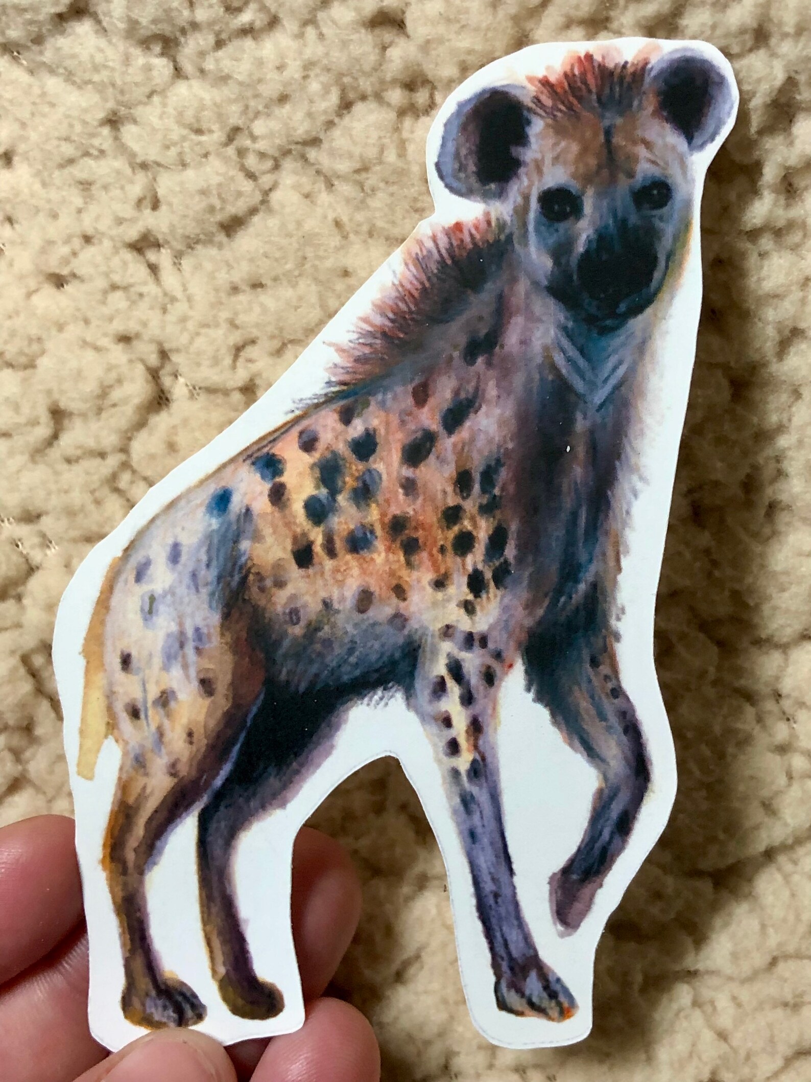 Spotted Hyena Sticker | Weather Proof Sticker | Hyena Art Print | Zoo ...