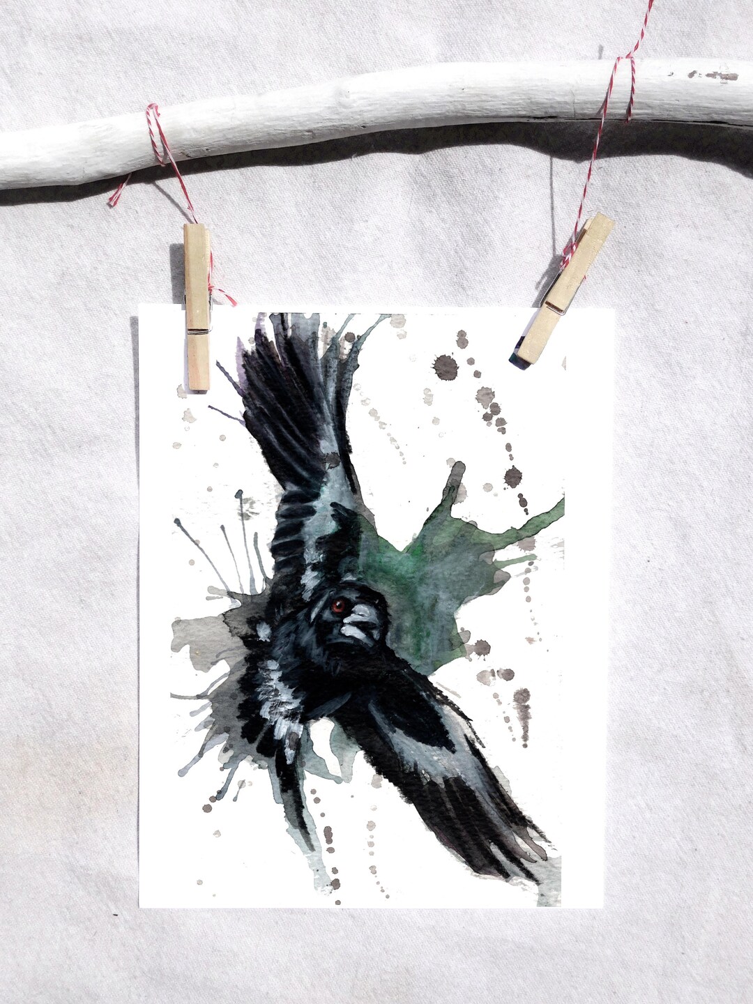 Australian Magpie Art Print | Bird Art | Unique Wall Art | Magpie Gifts ...