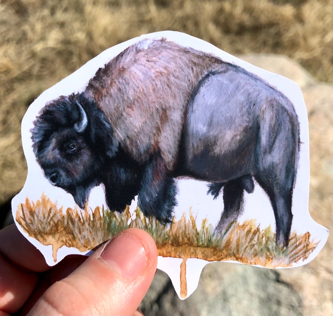 Bison Sticker | Bison Art | Buffalo Art | Western Art Sticker | Laptop ...