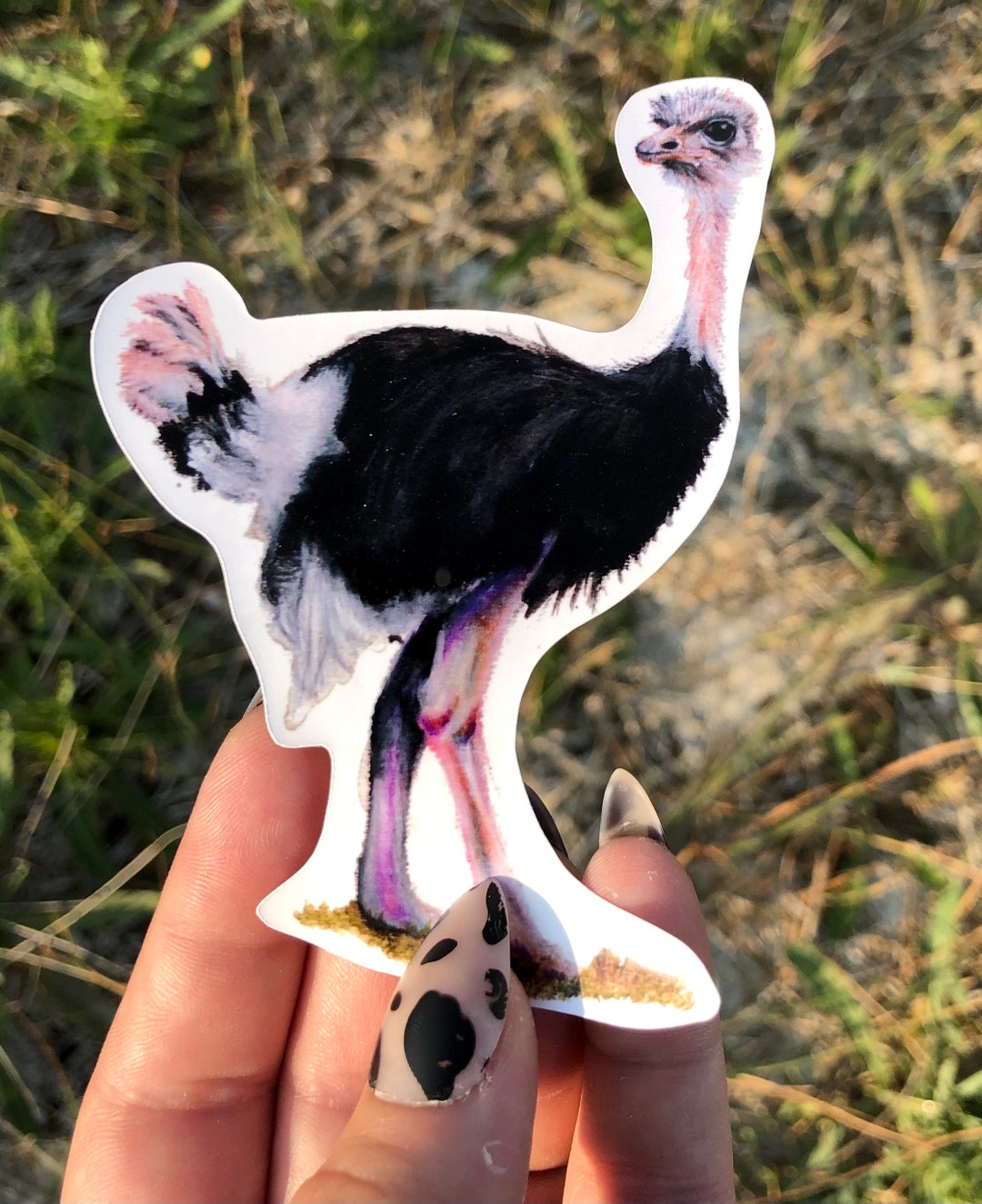 Ostrich Art Sticker | Weatherproof Wildlife Decal - Etsy