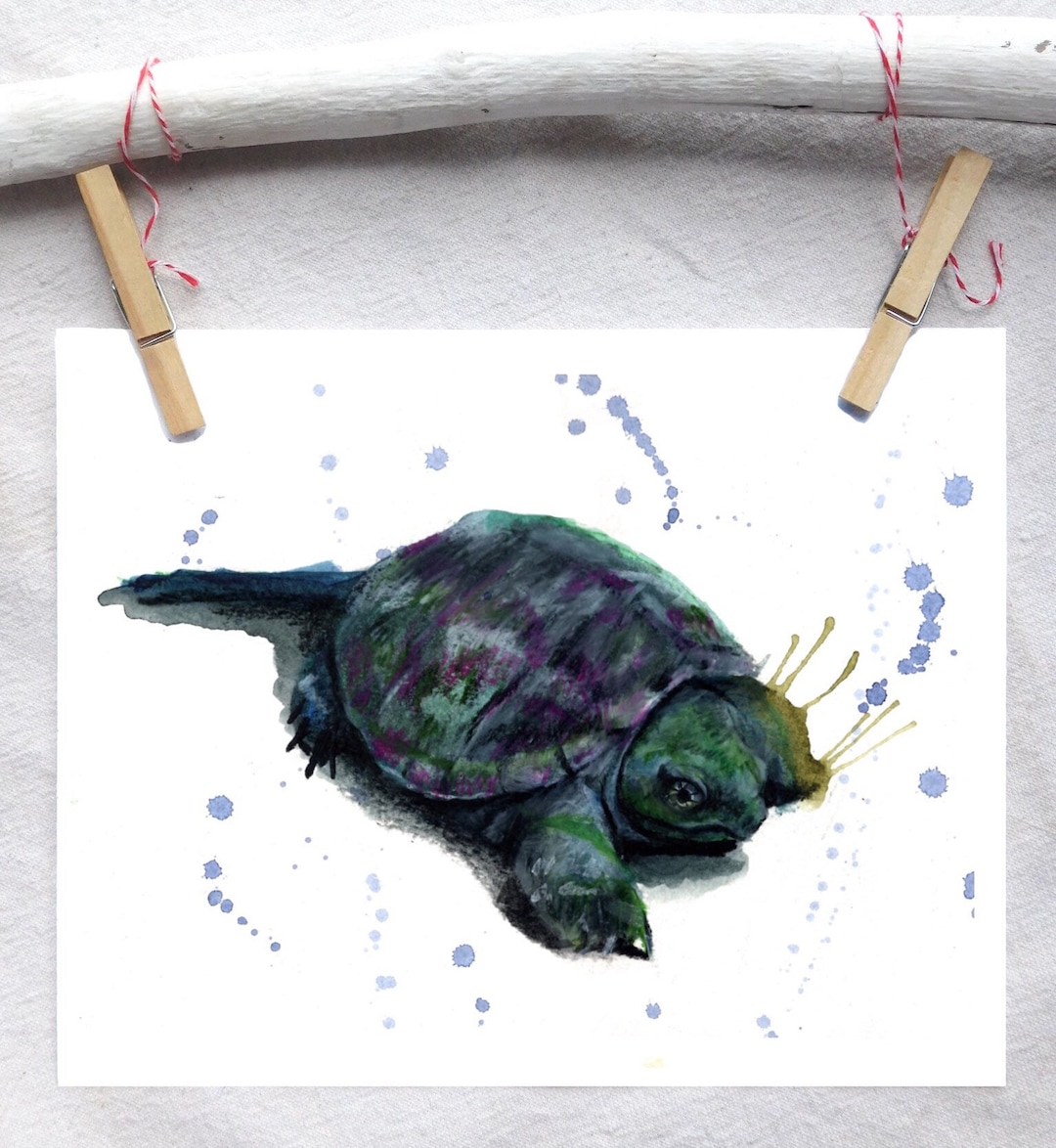Snapping Turtle Art Print - Etsy