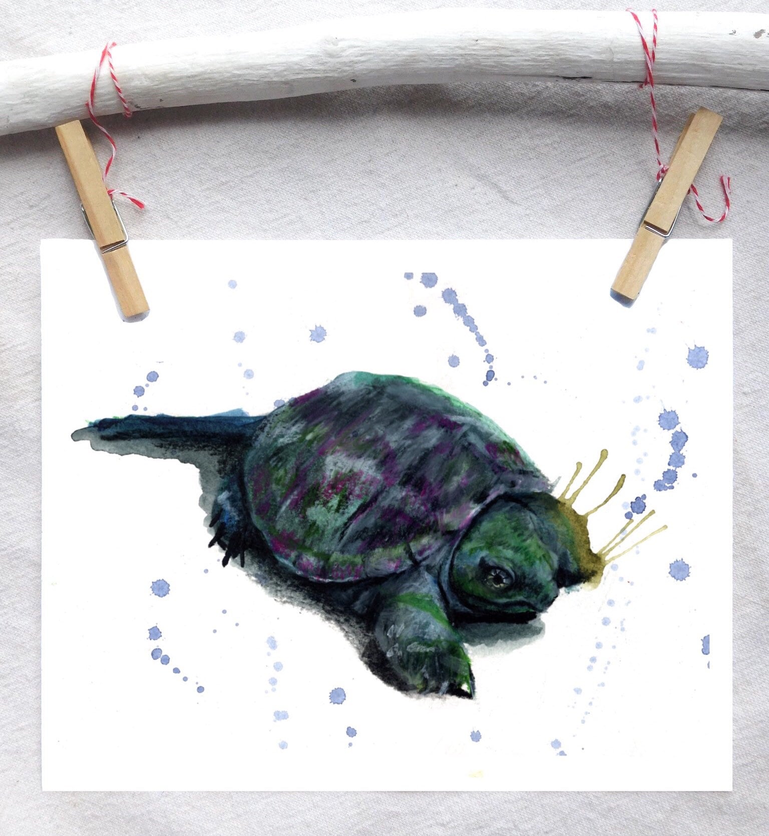 Snapping Turtle Drawing For Kids