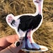 Ostrich Sticker | Ostrich Art | Ostrich Print | Bird Sticker | Leg Day ...