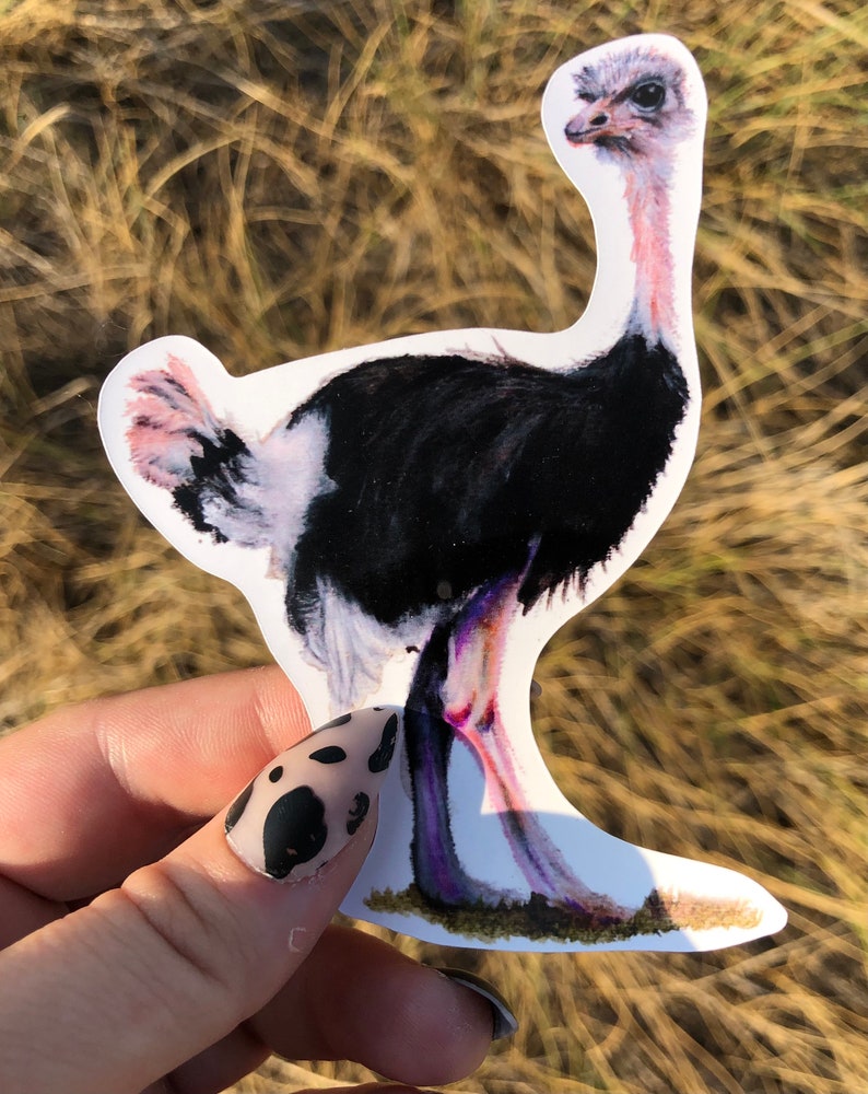 Ostrich Art Sticker | Weatherproof Wildlife Decal - Etsy