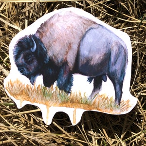 Bison Sticker | Bison Art | Buffalo Art | Western Art Sticker | Laptop ...