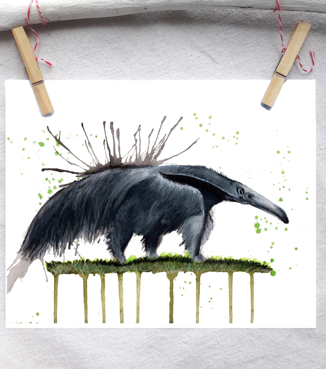 Anteater Watercolor Art Print | Unique Jungle Wall Art - Etsy UK