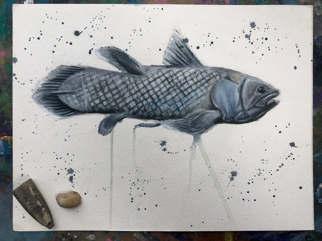 Original Hand Drawing of a Coelacanth a Living Dinosaur - Etsy
