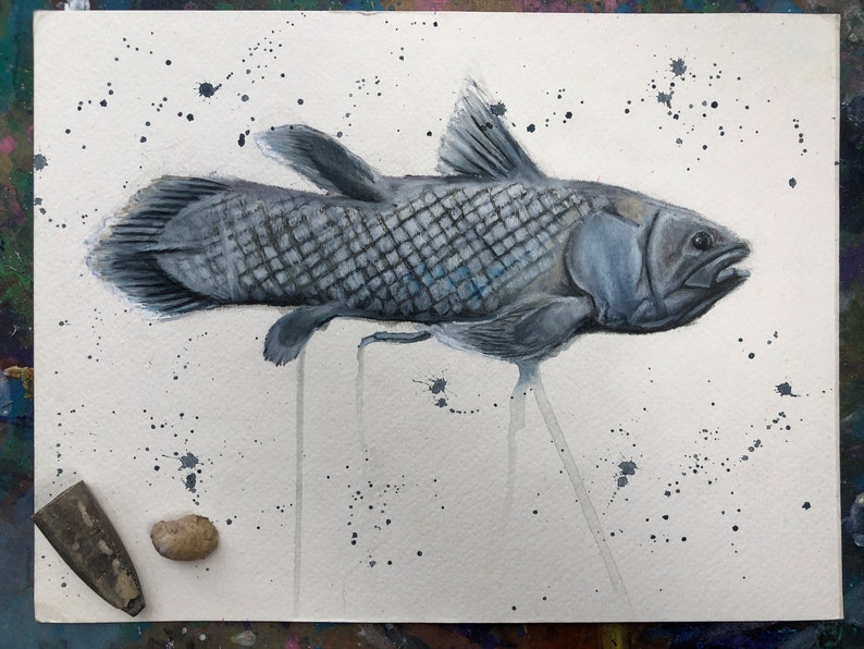 Original Hand Drawing of a Coelacanth a Living Dinosaur - Etsy