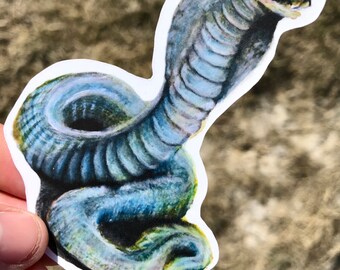King Cobra 030224 Laminated Sticker/decal (water/scratch Proof) - Etsy