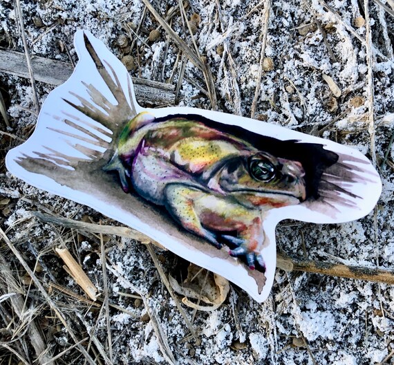 Cane Toad Sticker Weather Proof Stickers Artist Stickers | Etsy