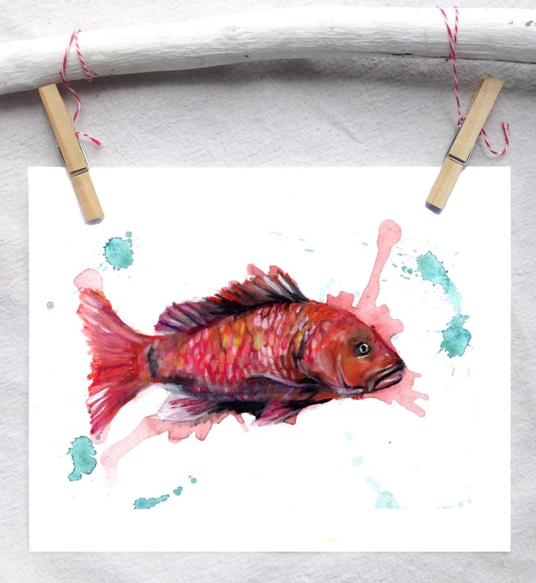 Red Snapper Fish Art Print of Original Watercolor Painting - Etsy