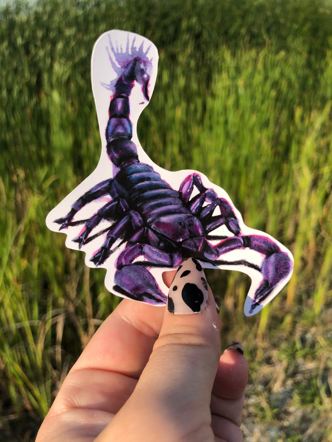 Scorpion Sticker Art Print Weatherproof Sticker Laptop - Etsy