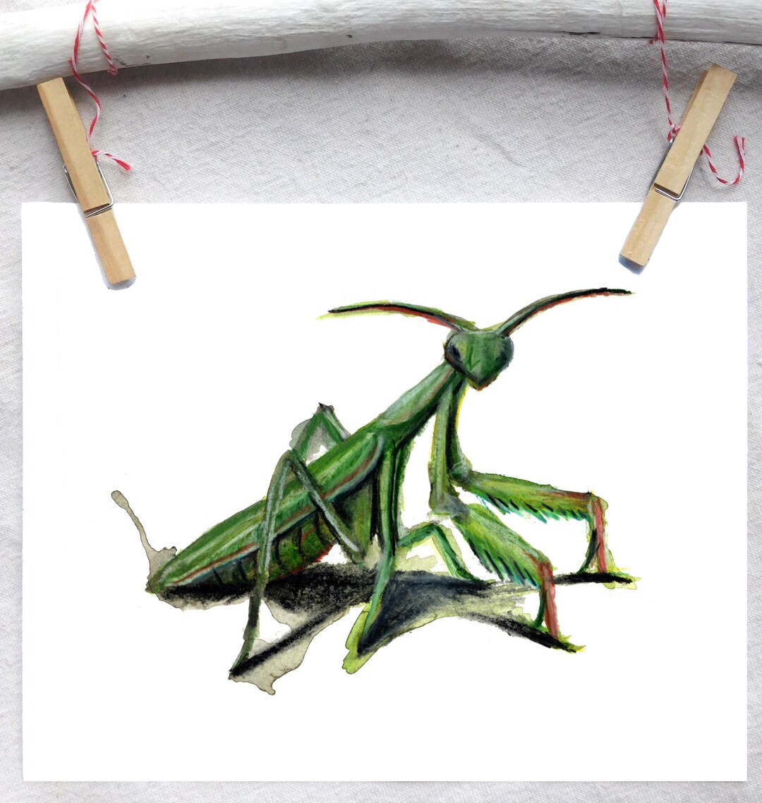 Mantis Art Print | Insect Watercolor | Praying Mantis Art | Mantis Art ...
