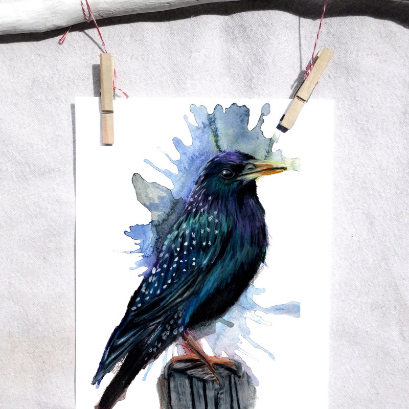 Starling Art - Etsy
